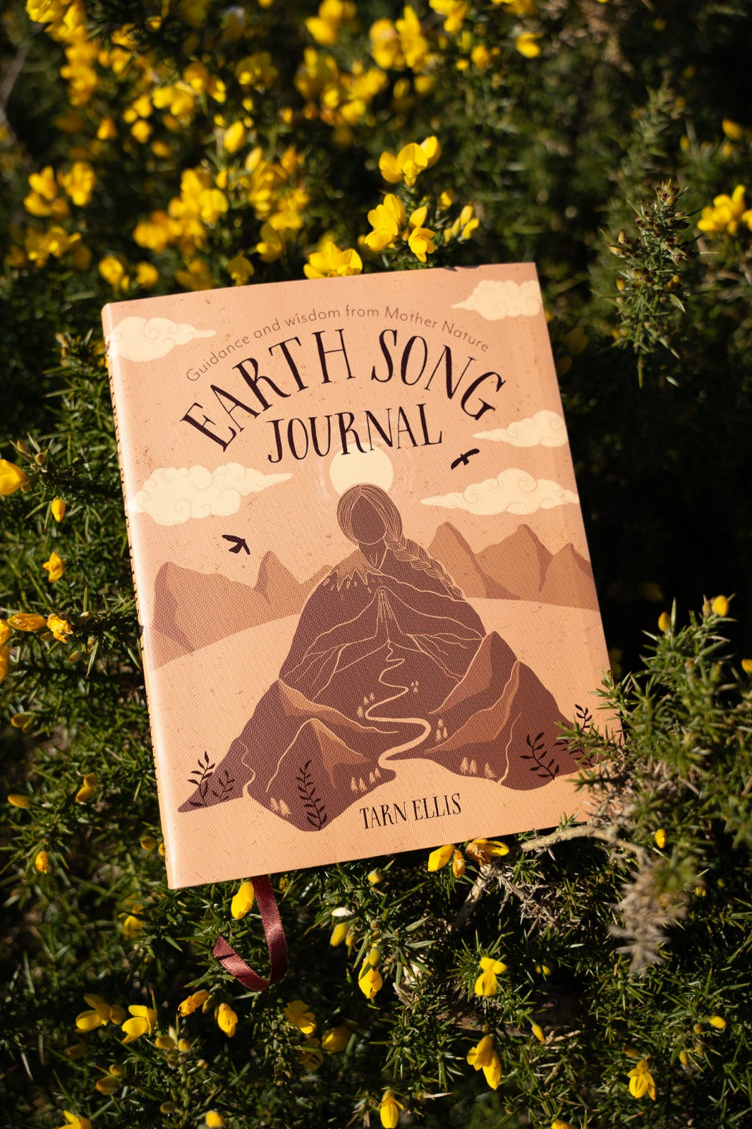 Books and Journals – Tarn Ellis Art